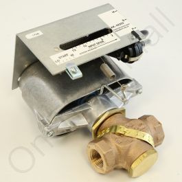 DriSteem 520203-005 Steam Valve